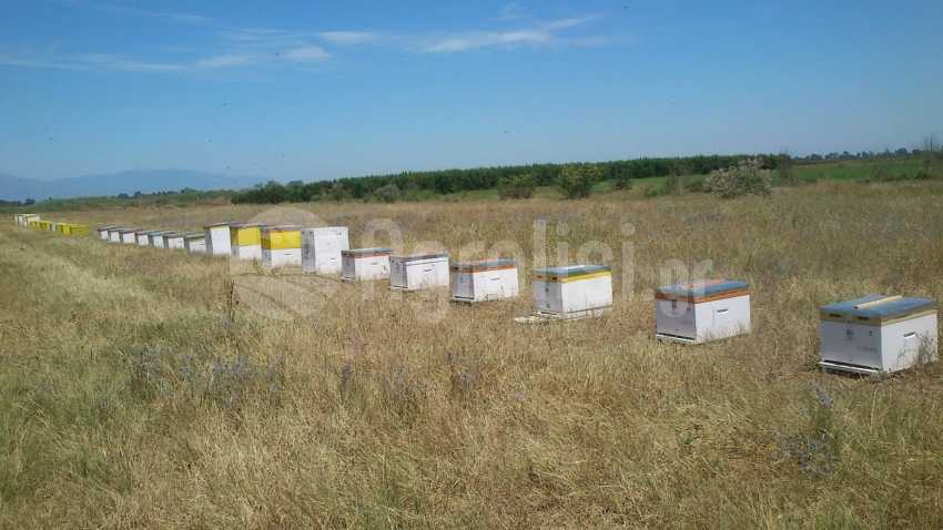 ΠΩΛΕΙΤΑΙ ΜΕΛΙΣΣΟΚΟΜΕΙΟ - Agrolisi.gr