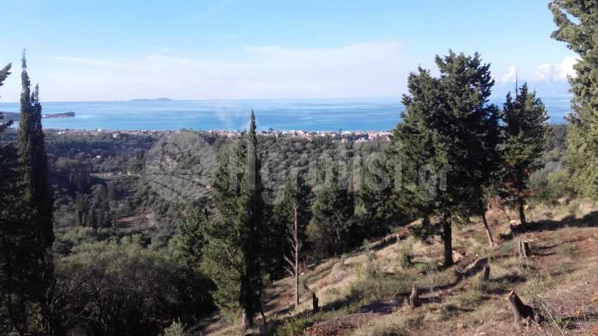 Αγροτεμάχιο αρτιο οικοδομησιμο στη Βορεια Κερκυρα - Agrolisi.gr