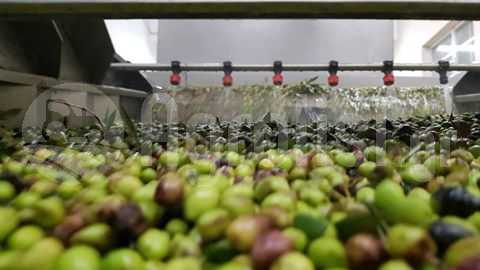ΕΞΤΡΑ ΠΑΡΘΕΝΟ ΕΛΑΙΟΛΑΔΟ ΠΟΠ ΚΑΛΑΜΑΤΑΣ - Agrolisi.gr