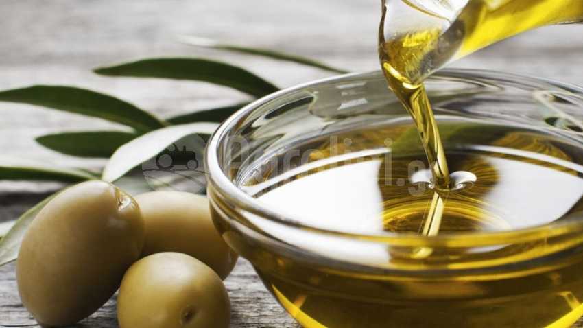 ΠΩΛΕΙΤΑΙ EXTRA ΠΑΡΘΕΝΟ ΕΛΑΙΟΛΑΔΟ 0.3-0.5 ΦΕΤΙΝΗΣ ΣΟΔΙΑΣ 2019 - Agrolisi.gr